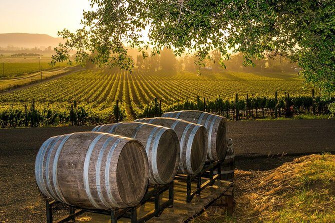Fredericksburg Wine Tour with Three Winery Stops Plus Lunch - Key Points