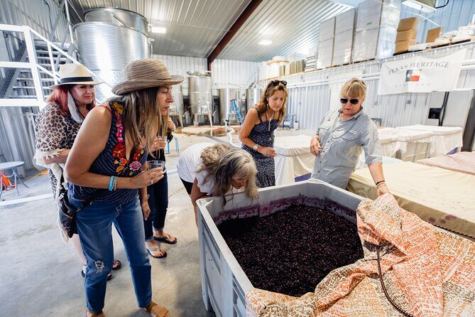 Fredericksburg Wine Trolley - Air Conditioned and Heated! - Authenticity & Authentic Experiences
