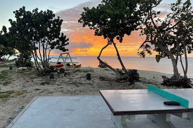 Frederiksted Moke Tour - The Sum Up: Who Will Love the Frederiksted Moke Tour?