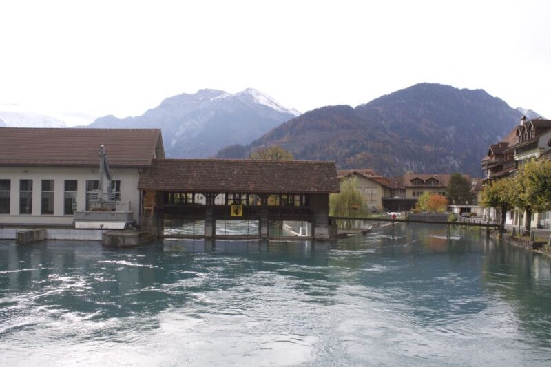 Free-Day in Interlaken Village from Lausanne - Final Thoughts: Who Will Love This Tour?