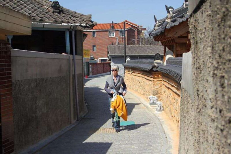 Free day in Jeonju, heart of traditional Korea, with a French guide - Practical Tips and Considerations
