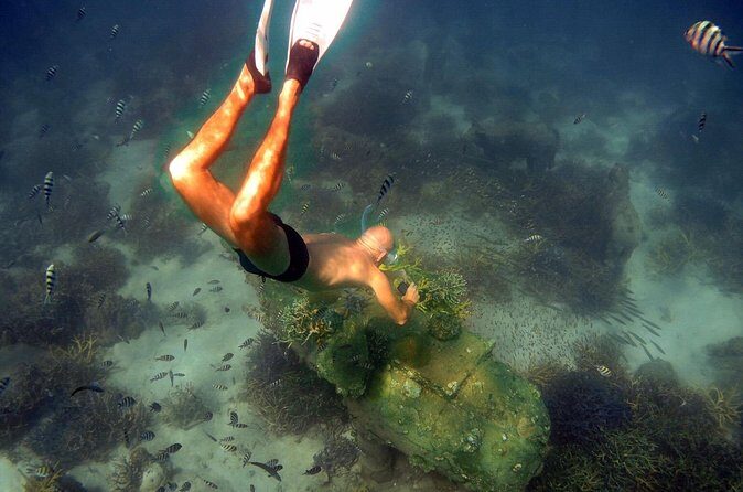 Freedive trip Koh Kood or Koh Rang National Park ( start at Ko Kut) - FAQs