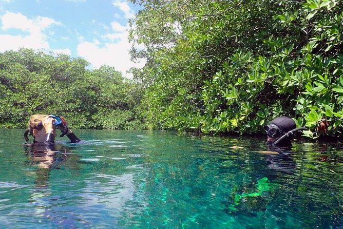 Freediving Intro for Beginners in a Cenote in Tulum Mexico - Who Will Love This Tour?