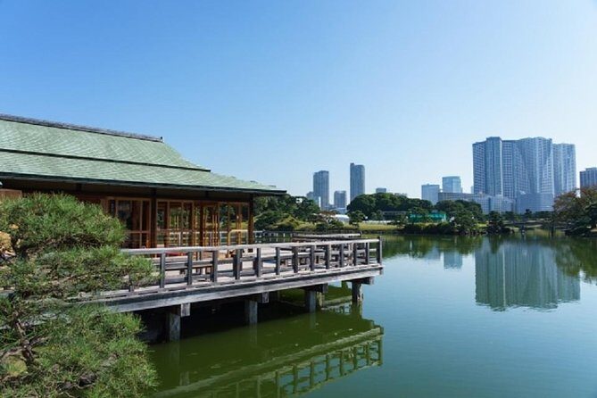 Freely set up plans Guided Private Tours in Tokyo - The Experience’s Strengths and Considerations
