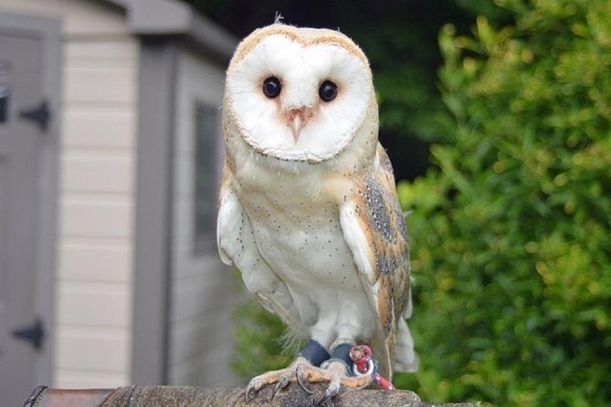 Freely set up plans Guided Private Tours in Tokyo - Who Would Love This Tour?