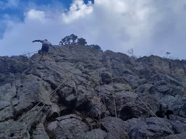 Freiburg: Climbing Course in the Black Forest - An In-Depth Look at the Climbing Course in the Black Forest