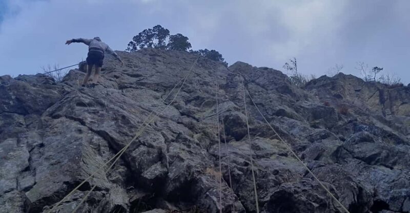 Freiburg: Climbing Course in the Black Forest - Who Will Enjoy This Experience?