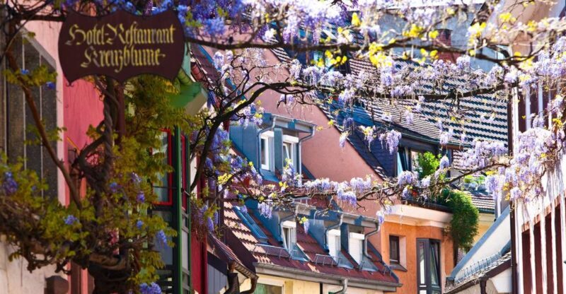 Freiburg: Gässle, Bächle and More City Tour - The Value and Experience