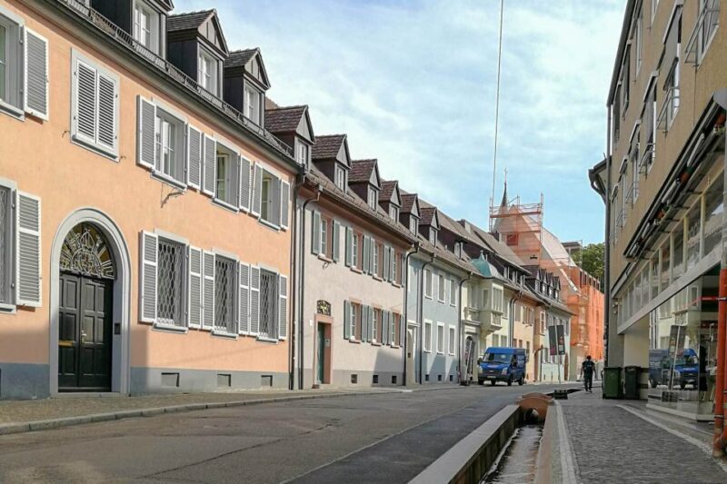 Freiburg: Gässle, Bächle and More City Tour - Who Is This Tour Best For?