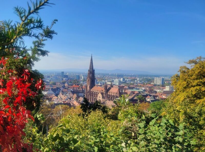 Freiburg - Historic walking tour - Key Points