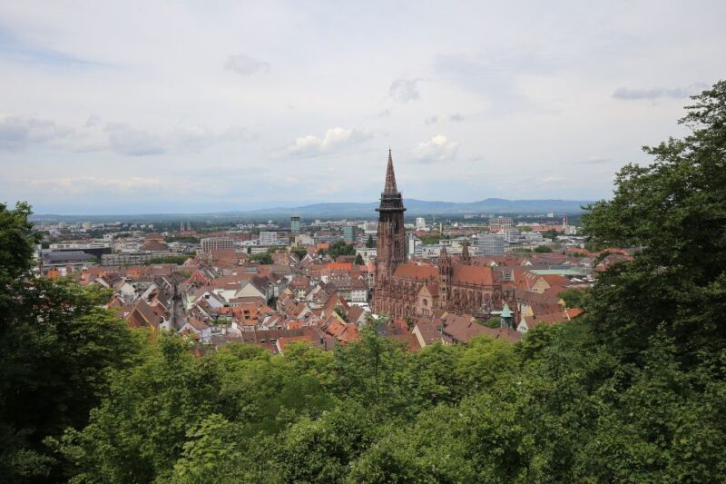 Freiburg - Historic walking tour - Pricing & Value