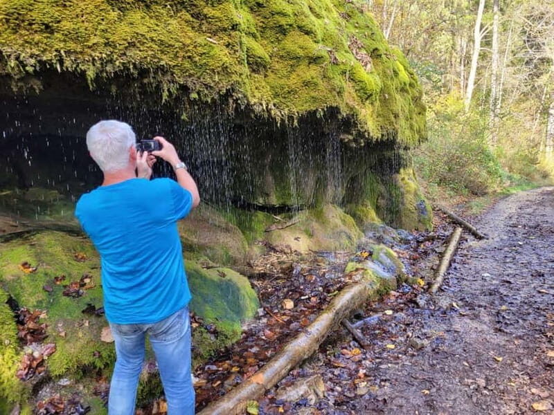Freiburg: Private Black Forest Tour by car - The Sum Up: Who Should Consider This Tour?
