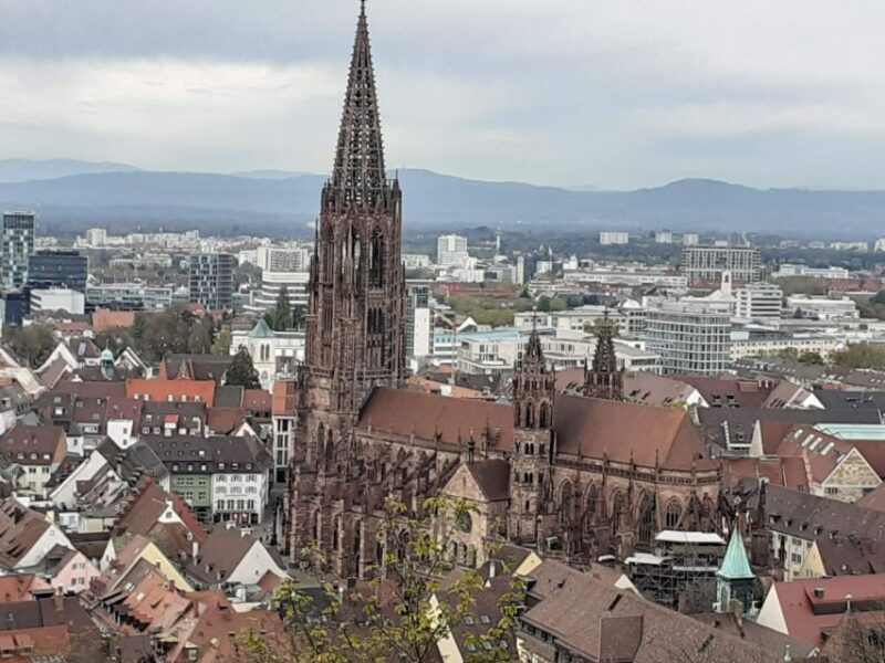 Freiburg: Walking and Strolling the Historic Center - Final Thoughts: Who Would Love This Tour?