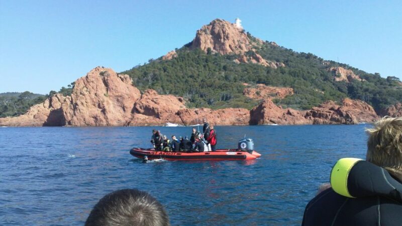 Fréjus: Diving Experience in Port-Fréjus with an Instructor - Final Thoughts