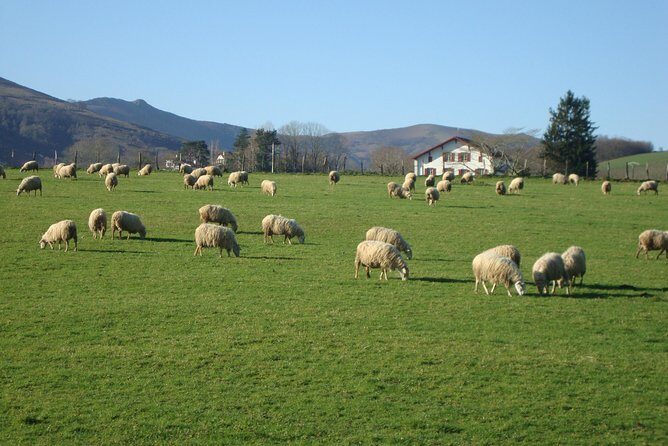 French Basque Countryside Private tour - FAQ