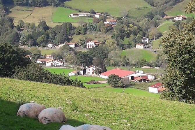 French-Basque Countryside Private tour Discover the hidden beauty of Pyrenees - Timing and Booking