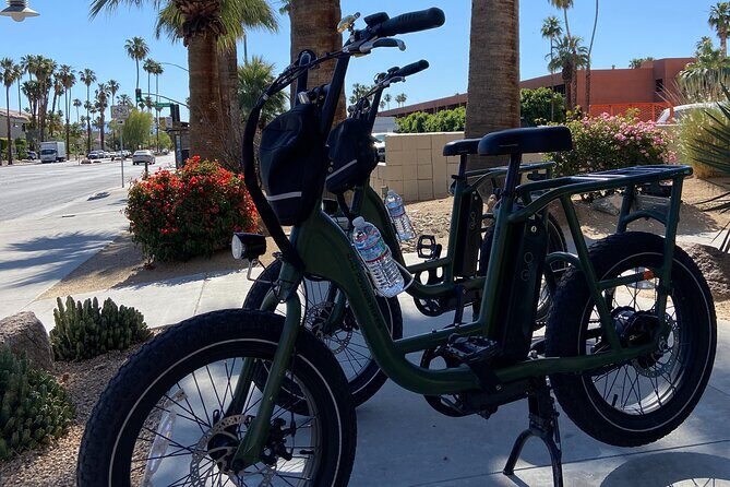 French Bicycle Tour of Palm Springs - The Sum Up