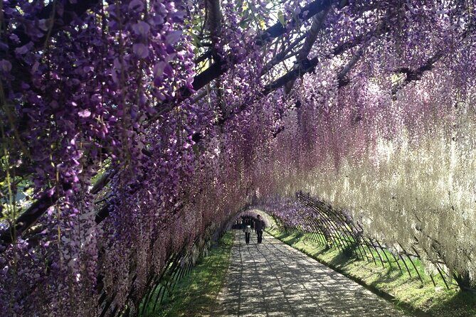 French Dining at Matsumoto Residence and Kawachi Wisteria - The Itinerary Breakdown: What to Expect at Each Stop