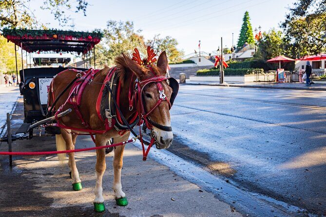 French Quarter Highlights Self-Guided Walking Tour of New Orleans - The Sum Up