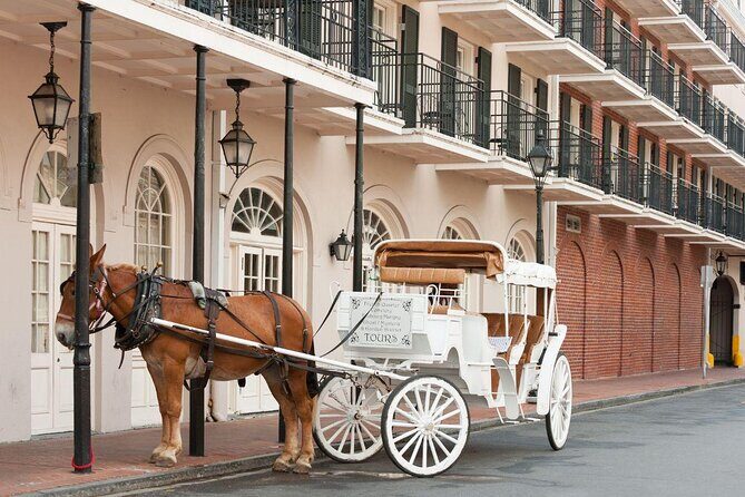 French Quarter True Crime Walking Tour - Exploring the Dark Side of the French Quarter: A Review of the True Crime Walking Tour