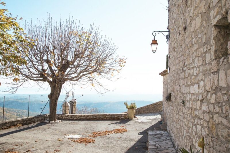 French Riviera and Provence Private Day Trip - Cost Analysis and Value