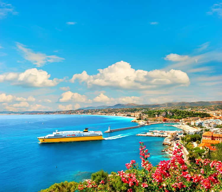 French Riviera: Half-Day Private Tour and Transfer - Is It Worth the Price?