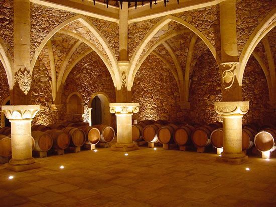 French Riviera: Provencal Wine Tour - Key Points
