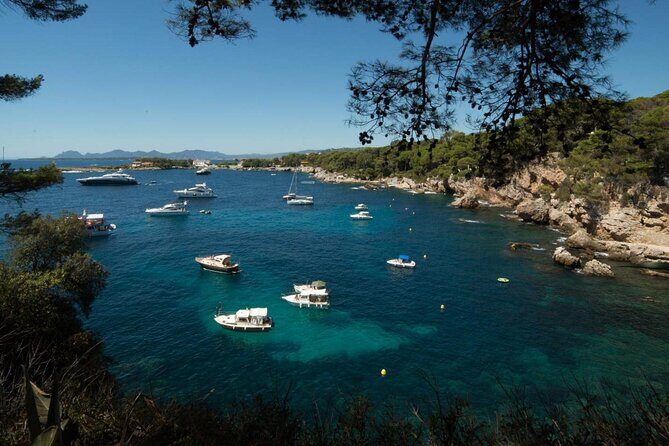 French Riviera West Coast - Cannes, Antibes, Juan les Pins, Biot - Analyzing the Cost and Value