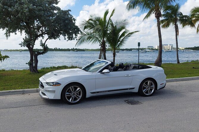 French tour of Miami in convertible mustang - Introduction