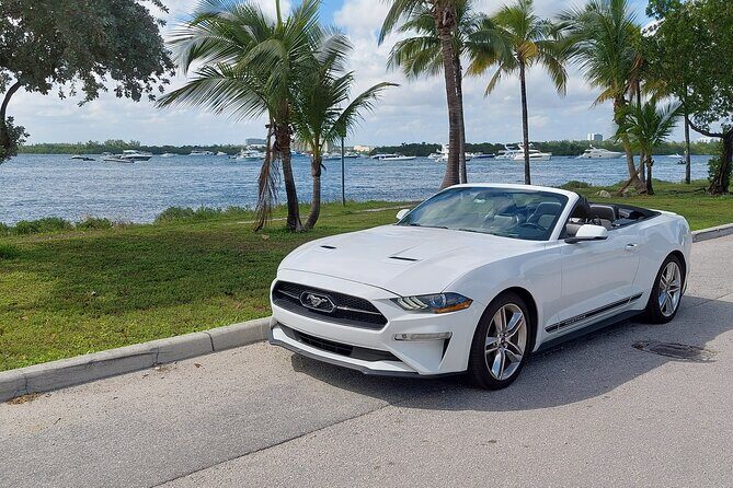 French tour of Miami in convertible mustang - Discovering Miami in a Convertible Mustang