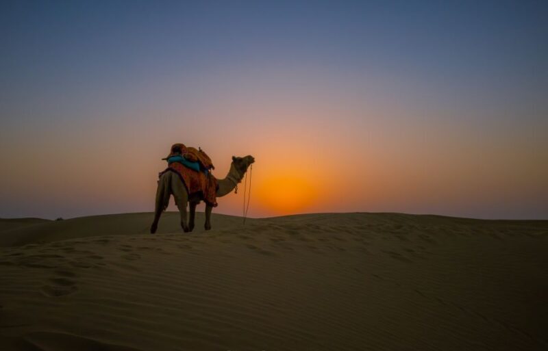 Frenzy Paradise Overnight Thar Desert Camping Tour - An Adventure in Rajasthan’s Dunes: What to Expect