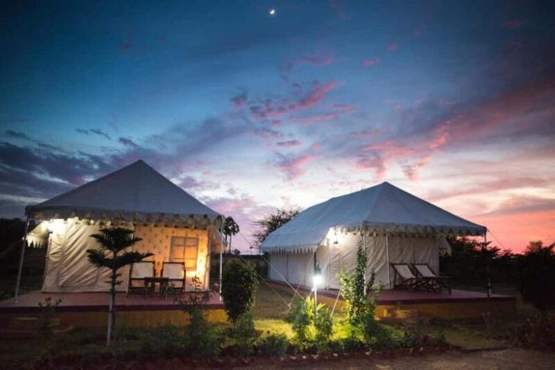 Frenzy Paradise Overnight Thar Desert Camping Tour - Why This Tour Offers Good Value