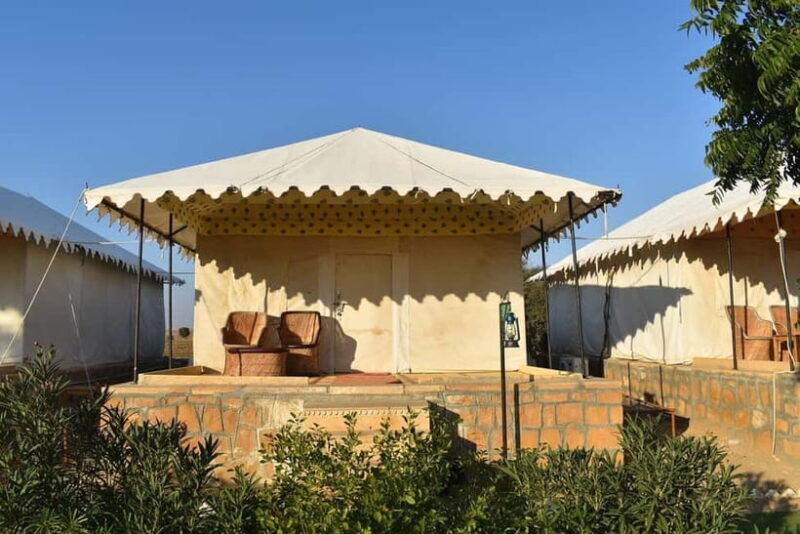 Frenzy Paradise Overnight Thar Desert Camping Tour - Who Should Consider This Experience?