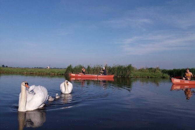 Fresh nose tour with the canoe through the nature near Amsterdam - Practical Details for Planning Your Canoe Adventure