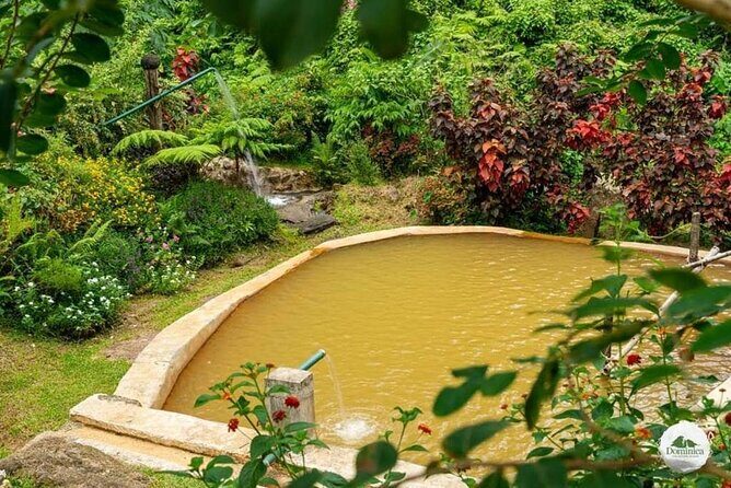 Freshwater Lake Titou Gorge Waterfalls and Sulphur Spa Adventure - Practical Details and Tips