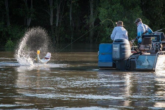 Freshwater or Saltwater Barramundi Fishing Day Trip from Darwin - Key Points