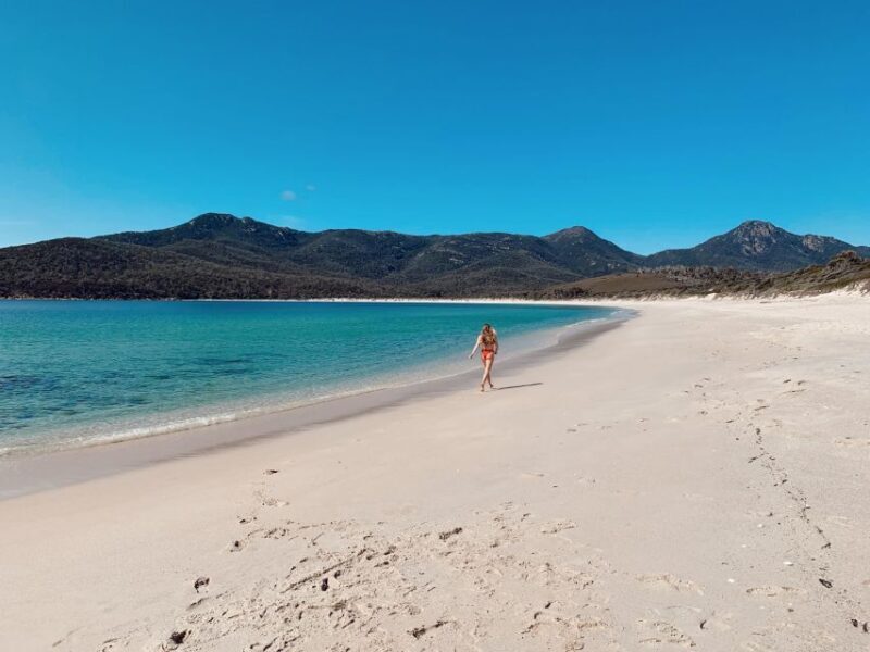 Freycinet: 5.5-Hr Small Group Guided Walk + Boat Experience - Wrapping It Up: Who Is This Tour For?