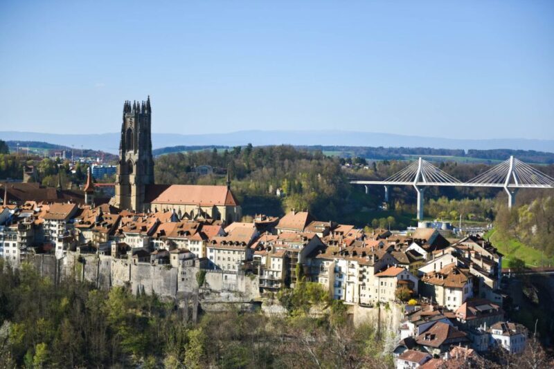 Fribourg and Gruyeres Full-Day Trip - Summary: Who Is This Tour Best For?