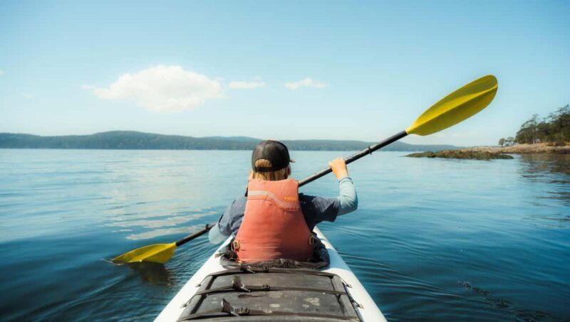 Friday Harbor: Half-Day Family Kayaking and Hiking Tour - Exploring the Friday Harbor: Half-Day Family Kayaking and Hiking Tour