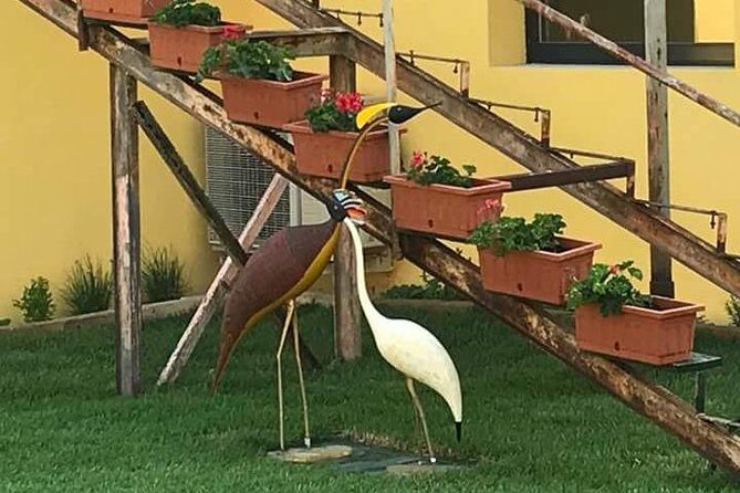 FriendInVenice Murano Burano Torcello Private Tour By Luxury Boat - Who Will Love This Tour?