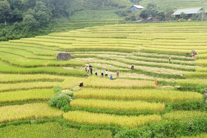 Friendly Sapa Village: 2 Days of Cultural Exchange & Trekking - What Travelers Love About This Tour