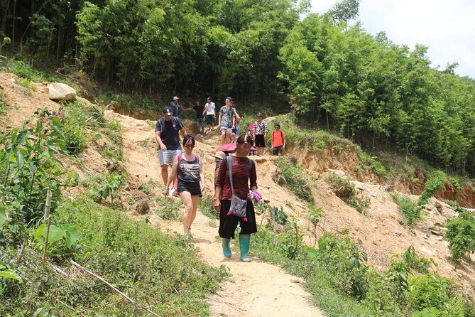 Friendly Sapa Village: 2 Days of Cultural Exchange & Trekking - The Transport and Comfort Level