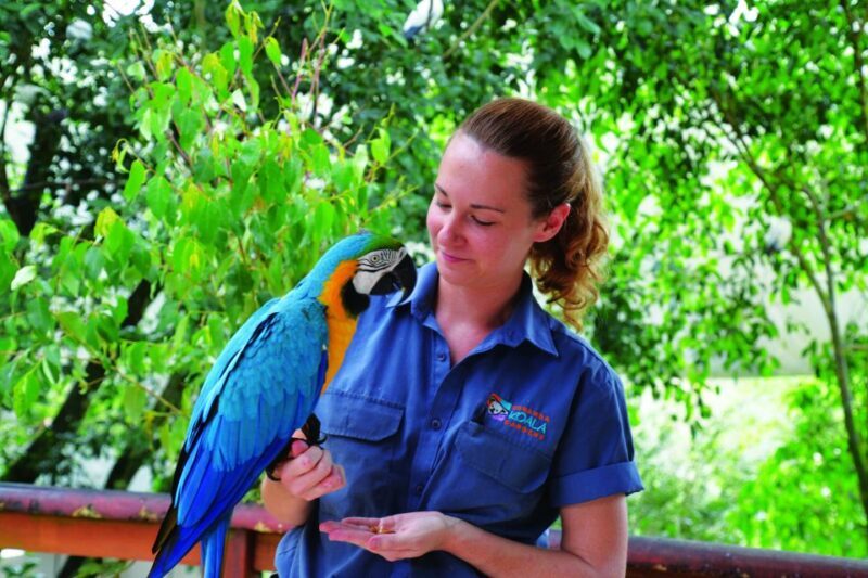 Friends in the Rainforest Package: Koala Gardens & Birdworld - Exploring Australia’s Wildlife with the Friends in the Rainforest Package: Koala Gardens & Birdworld
