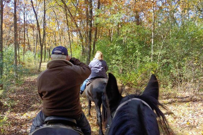 Friesian Herd Tours, Workshops, Classes and Retreats in the Kettle Moraine area. - Practical Tips for Travelers