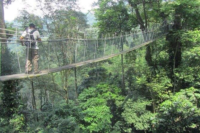 FRIM Nature Trekking Tour with Batu Caves, Batik & Pewter Factory - A Deep Dive into the Tour Experience