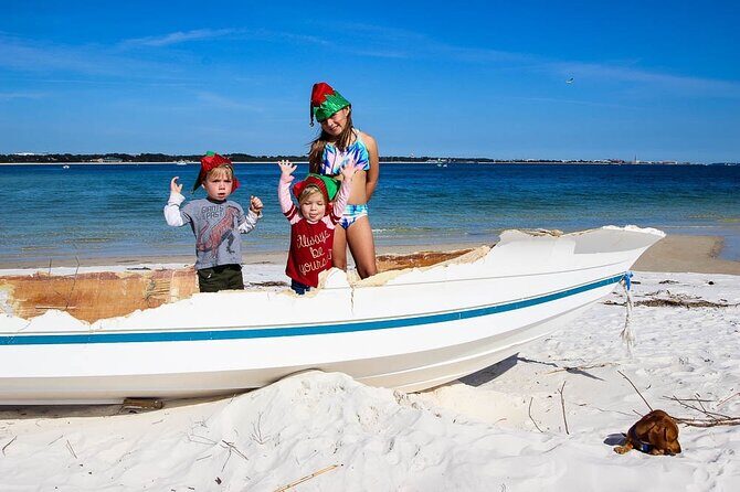 Frisky Mermaid Pontoon Boat Rentals in Pensacola Beach - Who Will Love This Experience?