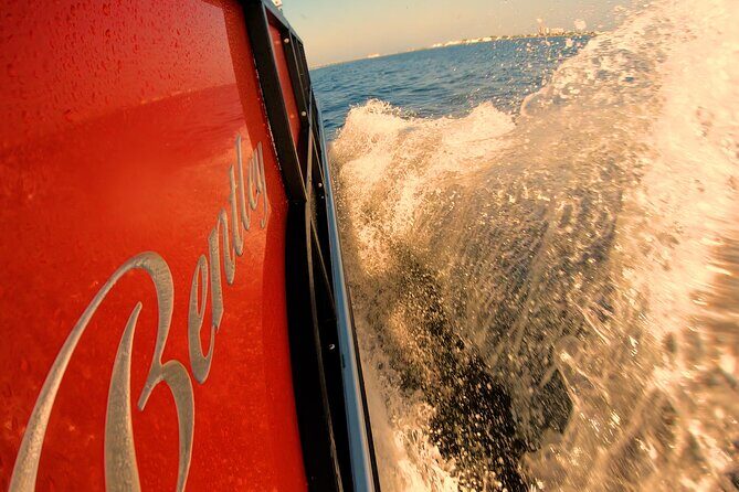 Frisky Mermaid Pontoon Boat Rentals in Pensacola Beach - Conclusions