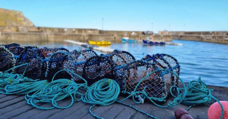 From Aberdeen: Coastal Villages of Aberdeenshire Tour - Transportation and Comfort
