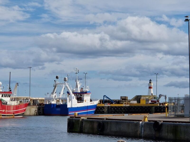 From Aberdeen: Coastal Villages of Aberdeenshire Tour - Who Will Love This Tour?