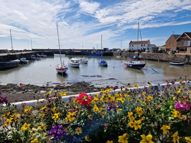 From Aberdeen: Guided Day Trip, Coast & Castle Visit - A Closer Look at the Itinerary